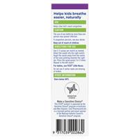 Buy Fess Childrens Nasal Spray 20ml Twin Pack Exclusive Size Online at ...