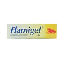 Buy Flamigel 50g Online at Chemist Warehouse®