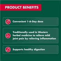 Buy Nature's Own Curcumin 60 Capsules Online at Chemist Warehouse®