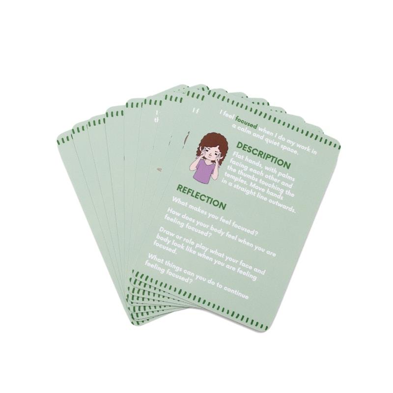 Buy My Learning Toolbox My Zones of Feelings Auslan Edition Flash Cards ...