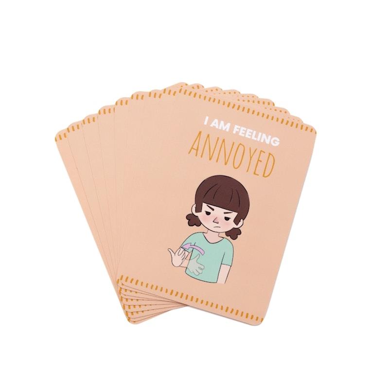 Buy My Learning Toolbox My Zones of Feelings Auslan Edition Flash Cards ...