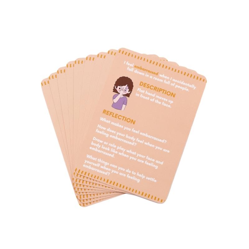 Buy My Learning Toolbox My Zones of Feelings Auslan Edition Flash Cards ...