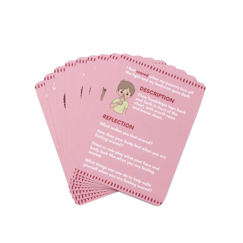 Buy My Learning Toolbox My Zones of Feelings Auslan Edition Flash Cards ...