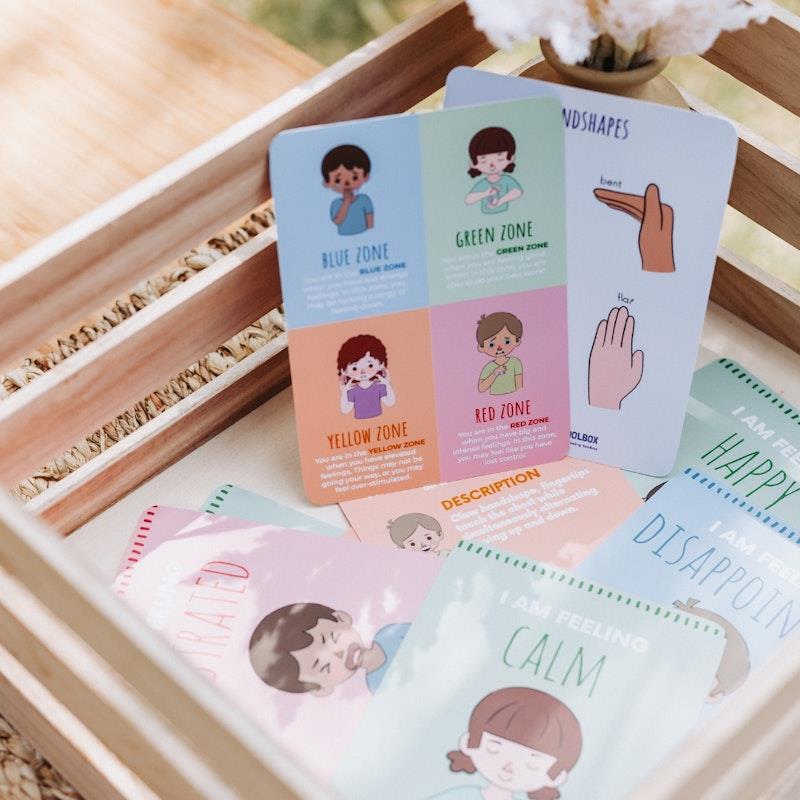 Buy My Learning Toolbox My Zones of Feelings Auslan Edition Flash Cards ...