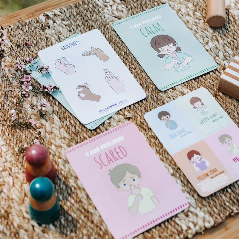 Buy My Learning Toolbox My Zones of Feelings Auslan Edition Flash Cards ...