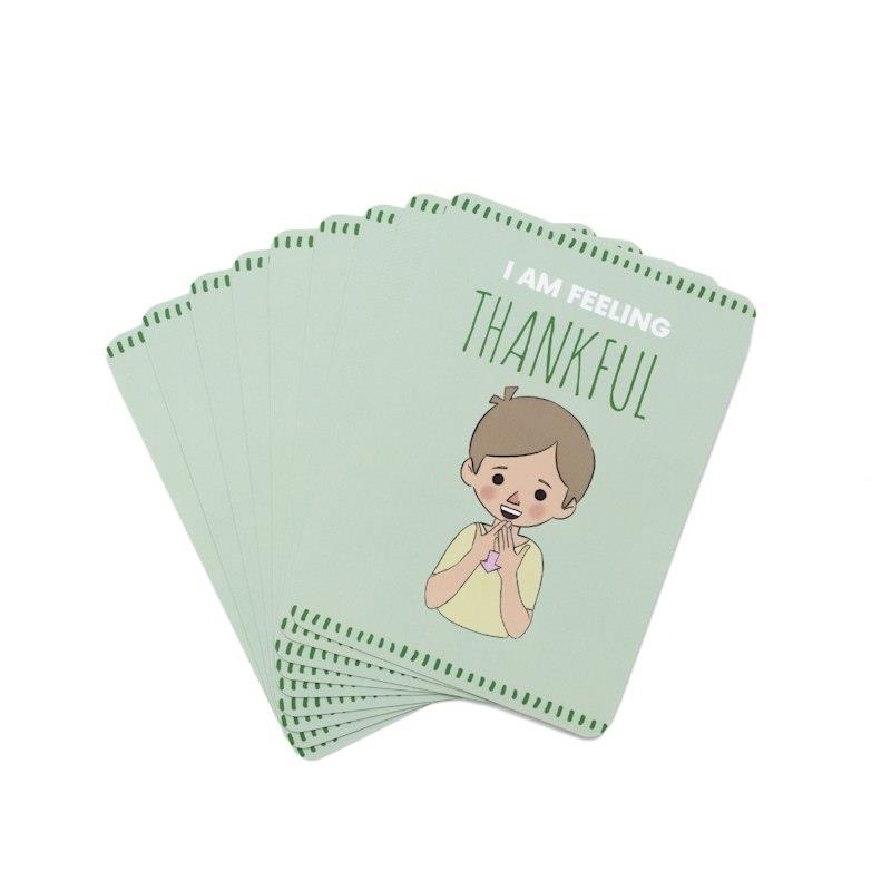 Buy My Learning Toolbox My Zones of Feelings Auslan Edition Flash Cards ...