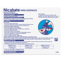 Buy Nicabate Minis 2mg 120 Lozenges Exclusive Size Online at Chemist ...