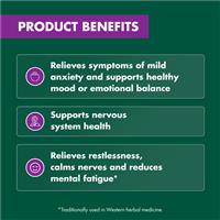 Buy Nature's Own Mood Balance St Johns Wort 50 Tablets Online at ...