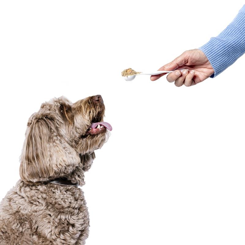 Buy HOUNDZTOOTH Calming Health Raw Boost Meal Topper for Dogs 60g ...