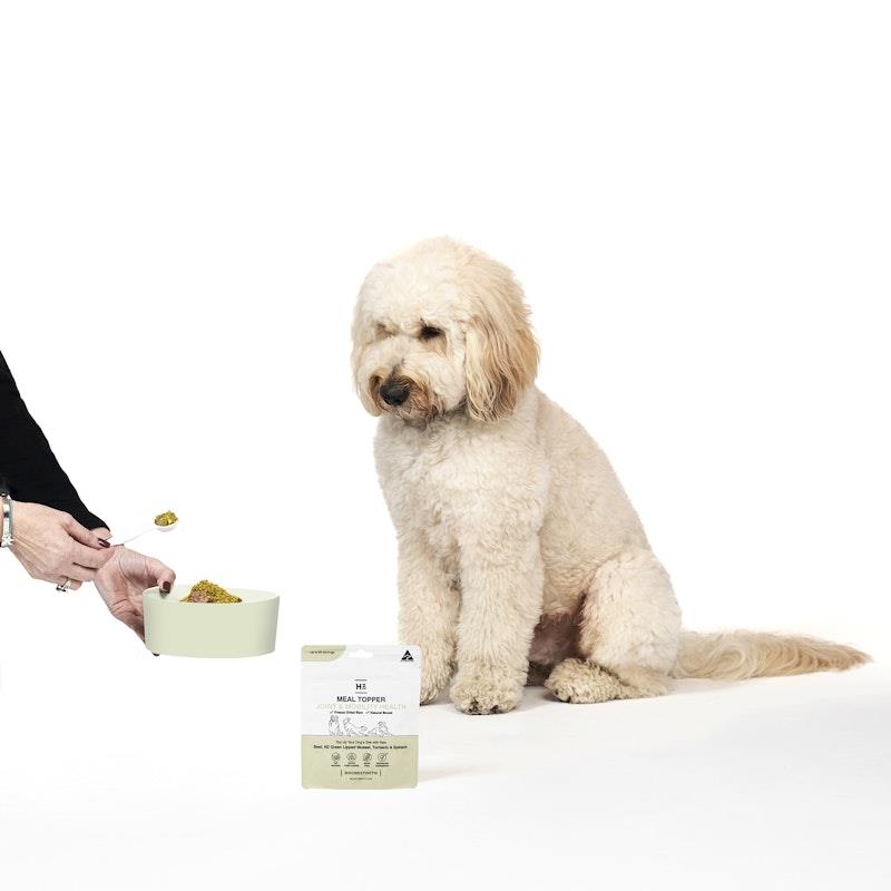 Buy HOUNDZTOOTH Joint & Mobility Health Raw Boost Meal Topper for Dogs ...