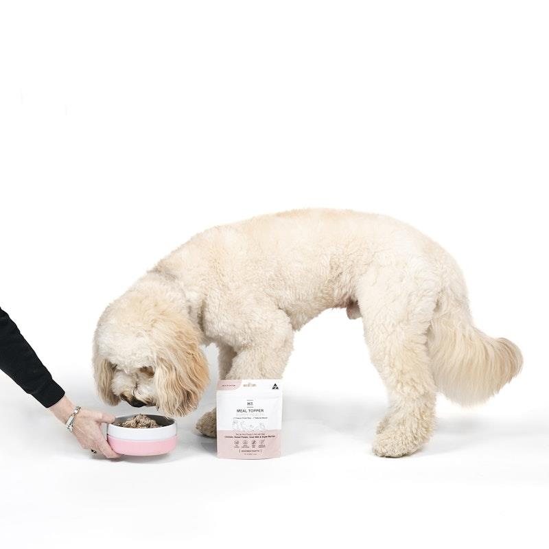 Buy HOUNDZTOOTH Puppy Health Raw Boost Meal Topper for Dogs 60g Online ...