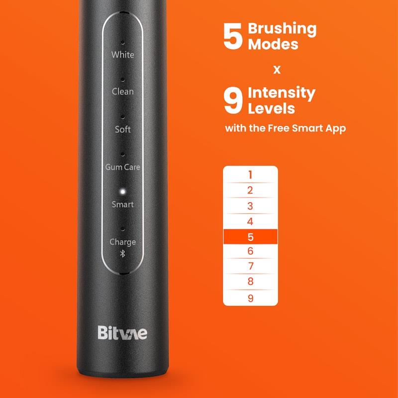 Buy Bitvae Smart S2 Electric Toothbrush ADA Accepted Black Online at ...
