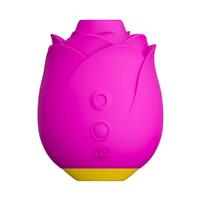 Buy Romp Rose Vibrating Pleasure Air Toy 1Piece Online at Chemist ...