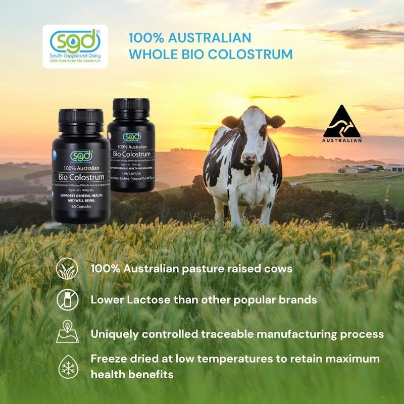 Buy SGD Low Lactose Chewable Colostrum Tablets 110mg IgG (Natural ...