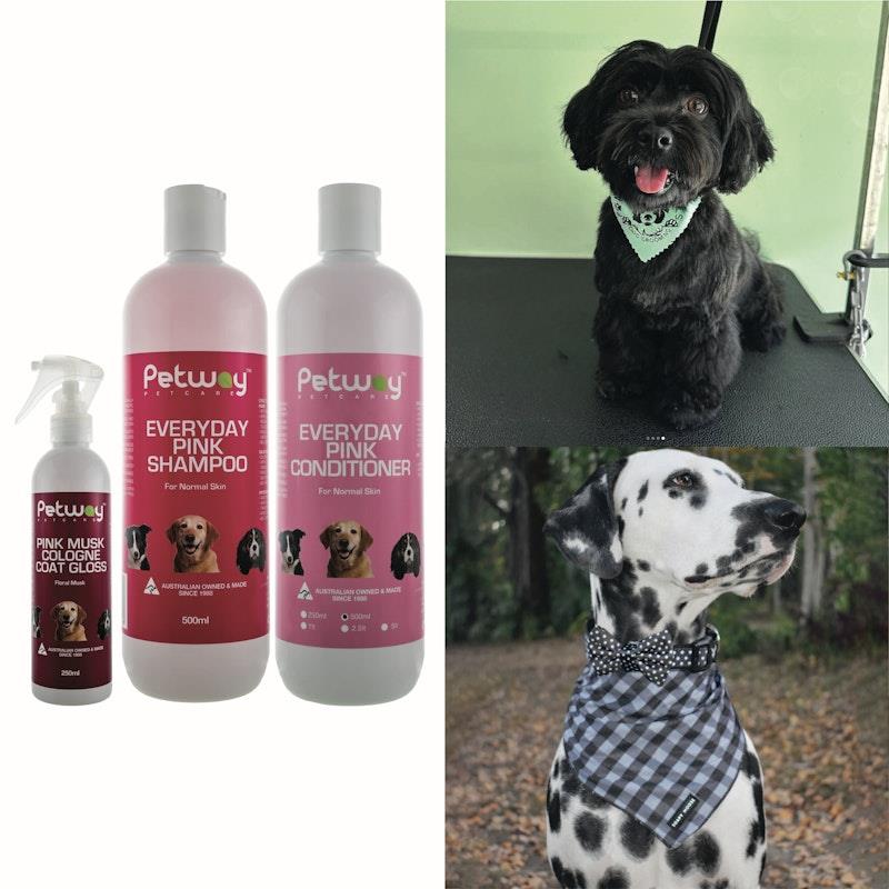 Buy Petway Everyday Care Dog Grooming Pack Bundle Online at Chemist ...