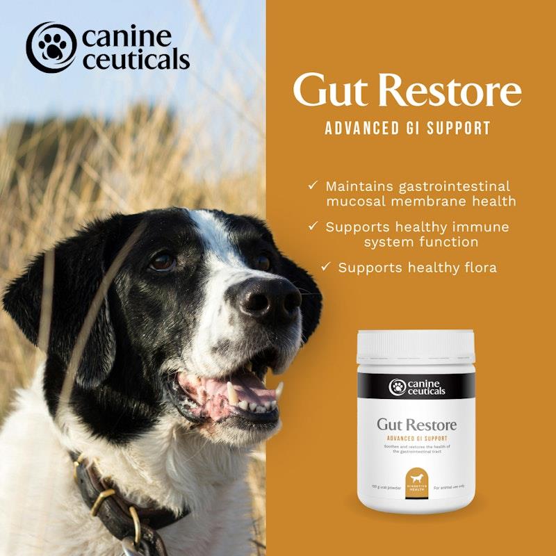 Buy CanineCeuticals Gut Restore 120g Online at Chemist Warehouse®