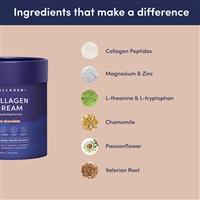 Buy The Collagen Co Collagen Dream Advanced Sleep Formula Hot Chocolate ...