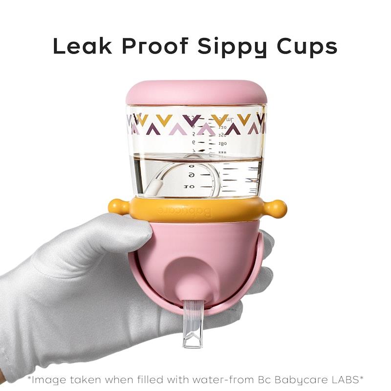 Buy Bc Babycare T-REX TOBY Weighted Straw Sippy Cup 300ml (with Strap) Rose Online at Chemist ...