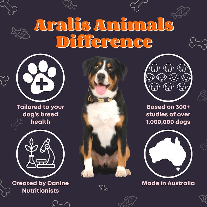 Buy Aralis Animals Labrador Retriever Multivitamins 450g Online at ...