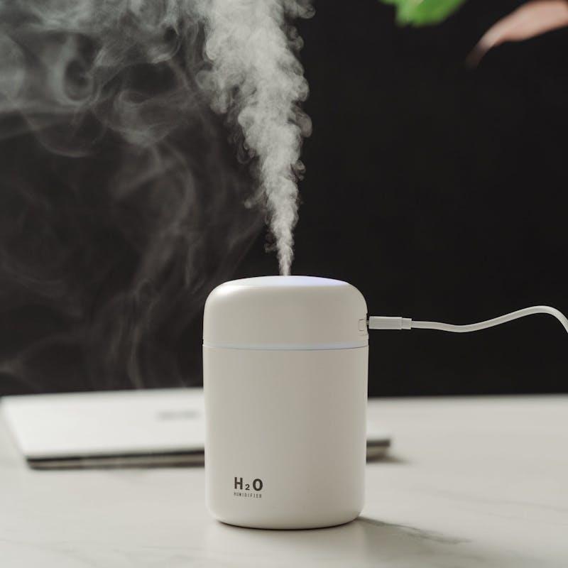 Buy Living Today Mini LED Ultrasonic Humidifier 300ML 1Unit Online at ...