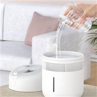 Buy Caremax Mist-Free Dust Free 2-in-1 Evaporative Humidifier & Air ...