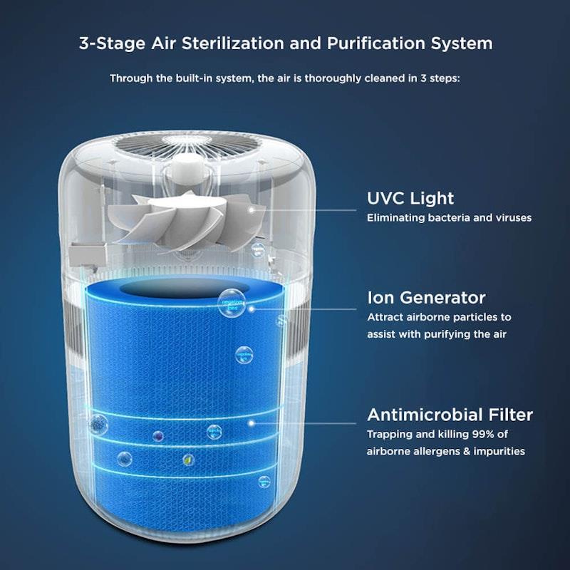 Buy Caremax Mist-Free Dust Free 2-in-1 Evaporative Humidifier & Air ...