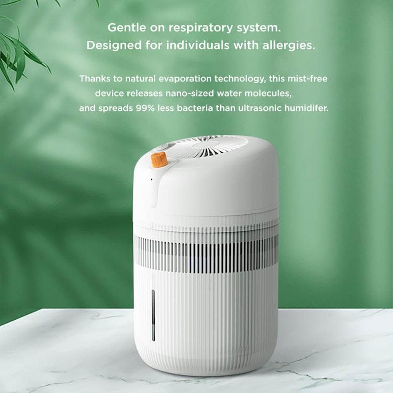 Buy Caremax Mist-Free Dust Free 2-in-1 Evaporative Humidifier & Air ...