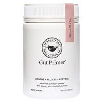 Buy The Beauty Chef Gut Primer Intensive Gut Repair Powder 140g Online ...