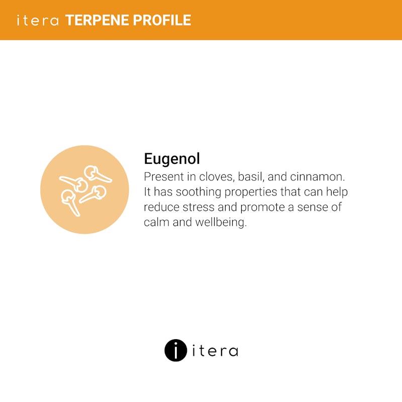 Buy Itera Health Your SEASONAL SHIELD 30 Capsules Online at Chemist ...