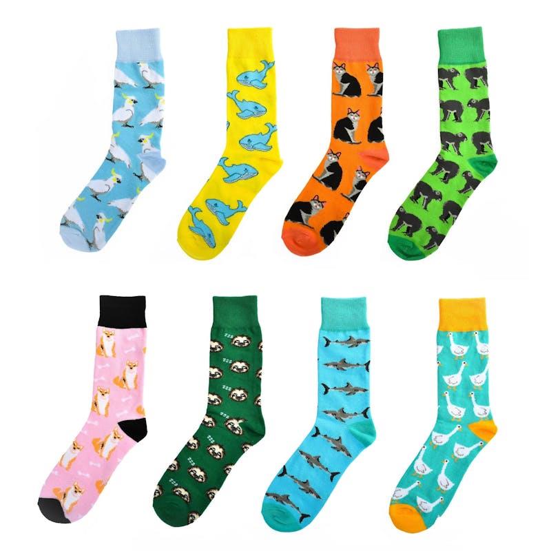 Buy Sock Exchange 8 Pairs Fashion Novelty Funny Socks one Size 5-13 ...