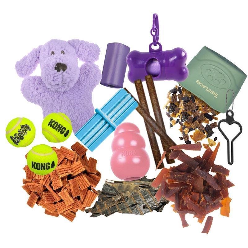 Buy Standout Pets - Puppy Bundle online at Chemist Warehouse