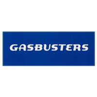 Buy Gasbusters Capsules Peppermint 24 Online at Chemist Warehouse®