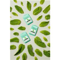 Buy Listerine Pocketpaks Oral Care Strips Freshburst Value Pack 72 ...