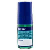 Buy Ultrafresh Spray Freshmint 12ml Online at Chemist Warehouse®